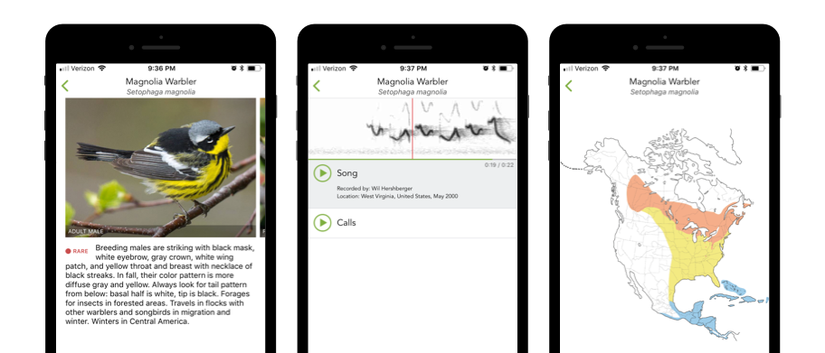 Uniform Crake - eBird